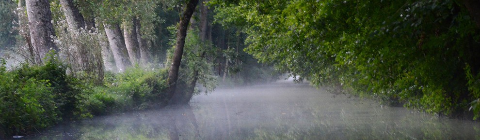 La Venise Verte embarcadere location barque Marais Poitevin canoe visite
